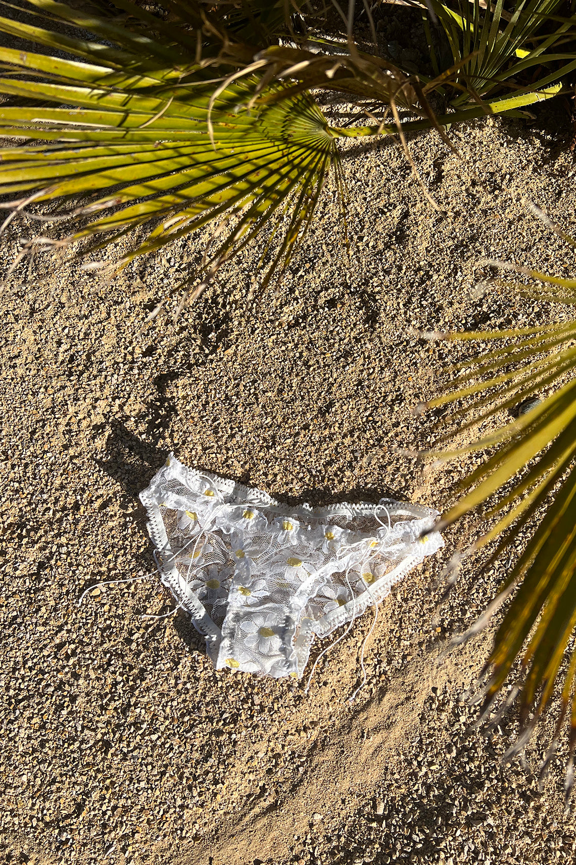 LAST ONE! Anaphora Panty in Sheer Upcycled Vintage Daisy Tulle Mesh ...